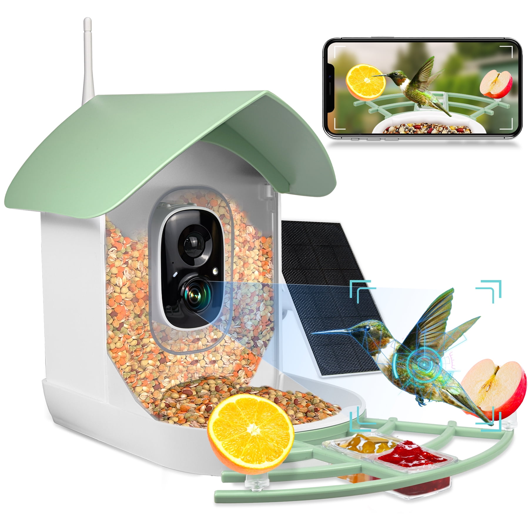 Smart Bird Feeder with Camera Solar Powered, 1080P HD Bird Feeder with ...