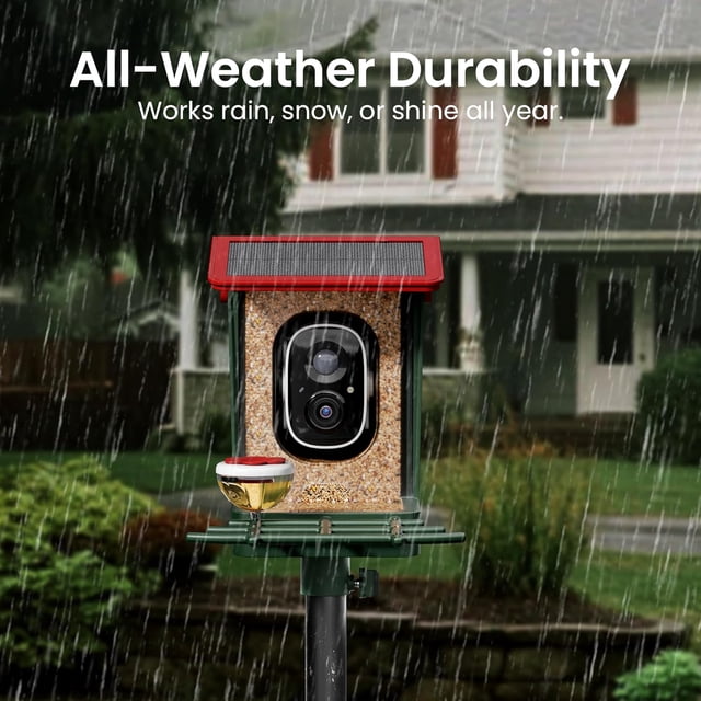 Smart Bird Feeder with Camera Solar Powered, 2K HD Video, AI Bird ...
