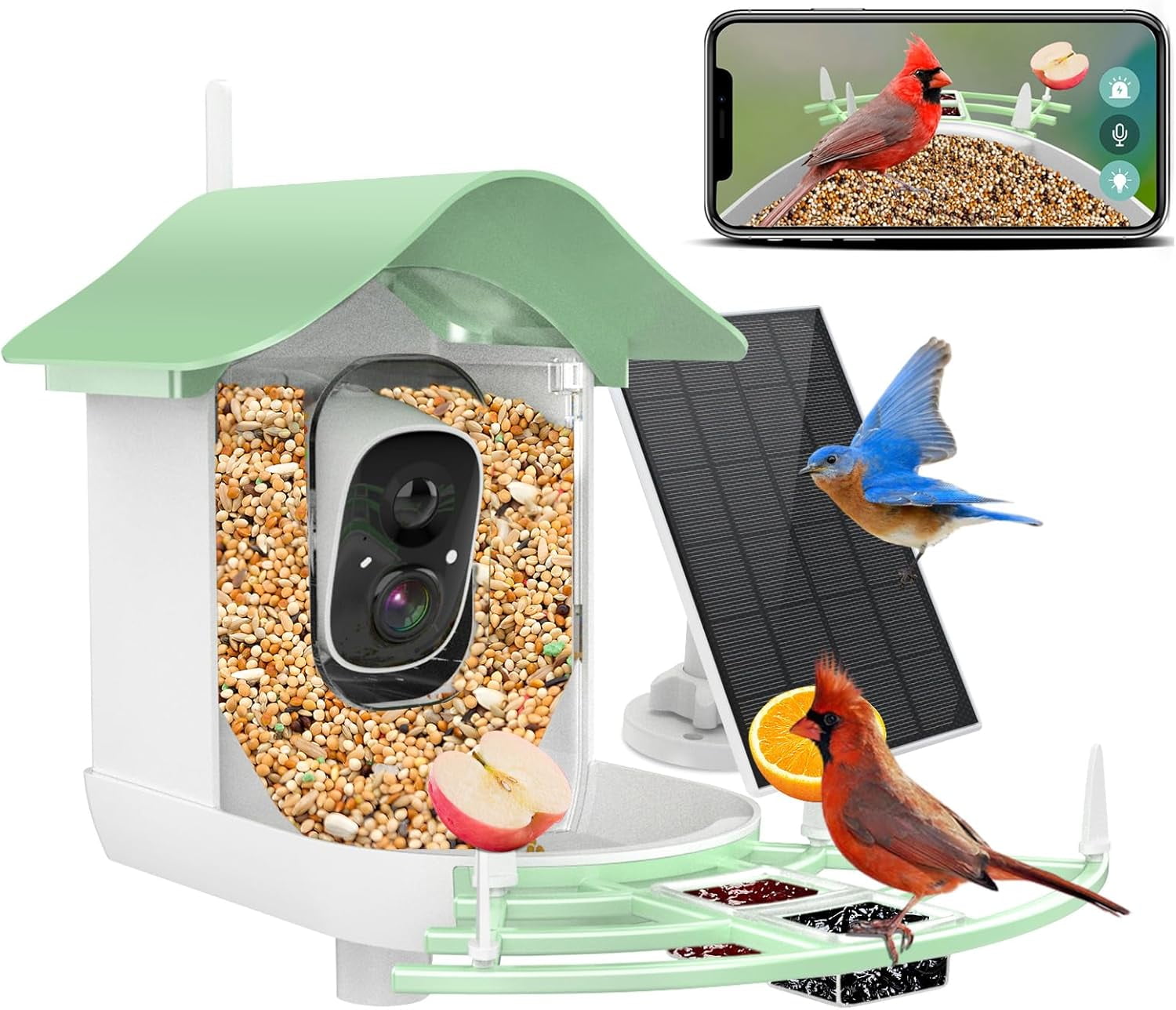 Smart Bird Feeder with Camera Solar Powered,AI Identify Bird Species,2K ...