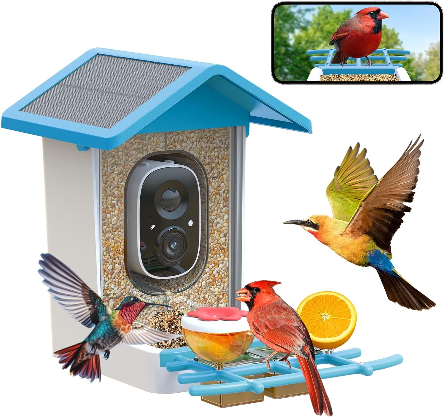Smart Bird Feeder with Camera: Solar Powered Birdhouse with AI ...