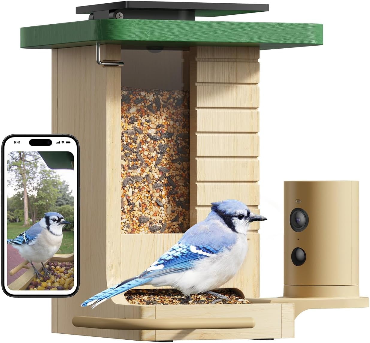 Smart Bird Feeder with Camera Solar Powered, Night Insight & Slow ...