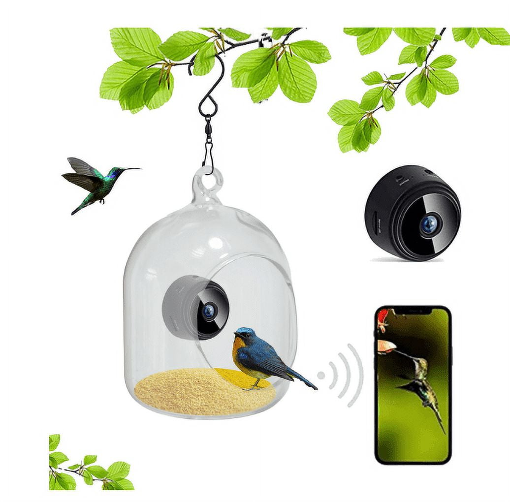 Smart Bird Feeder with Camera Wireless Outdoor, Feeders for Outside ...