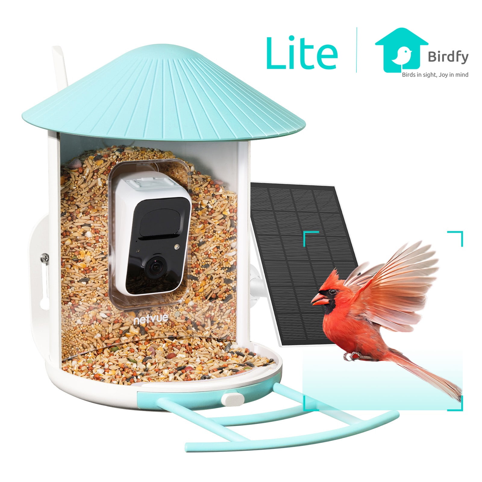 Smart Bird Feeder Camera with Solar Panel, NETVUE Birdfy Bird Watcher ...