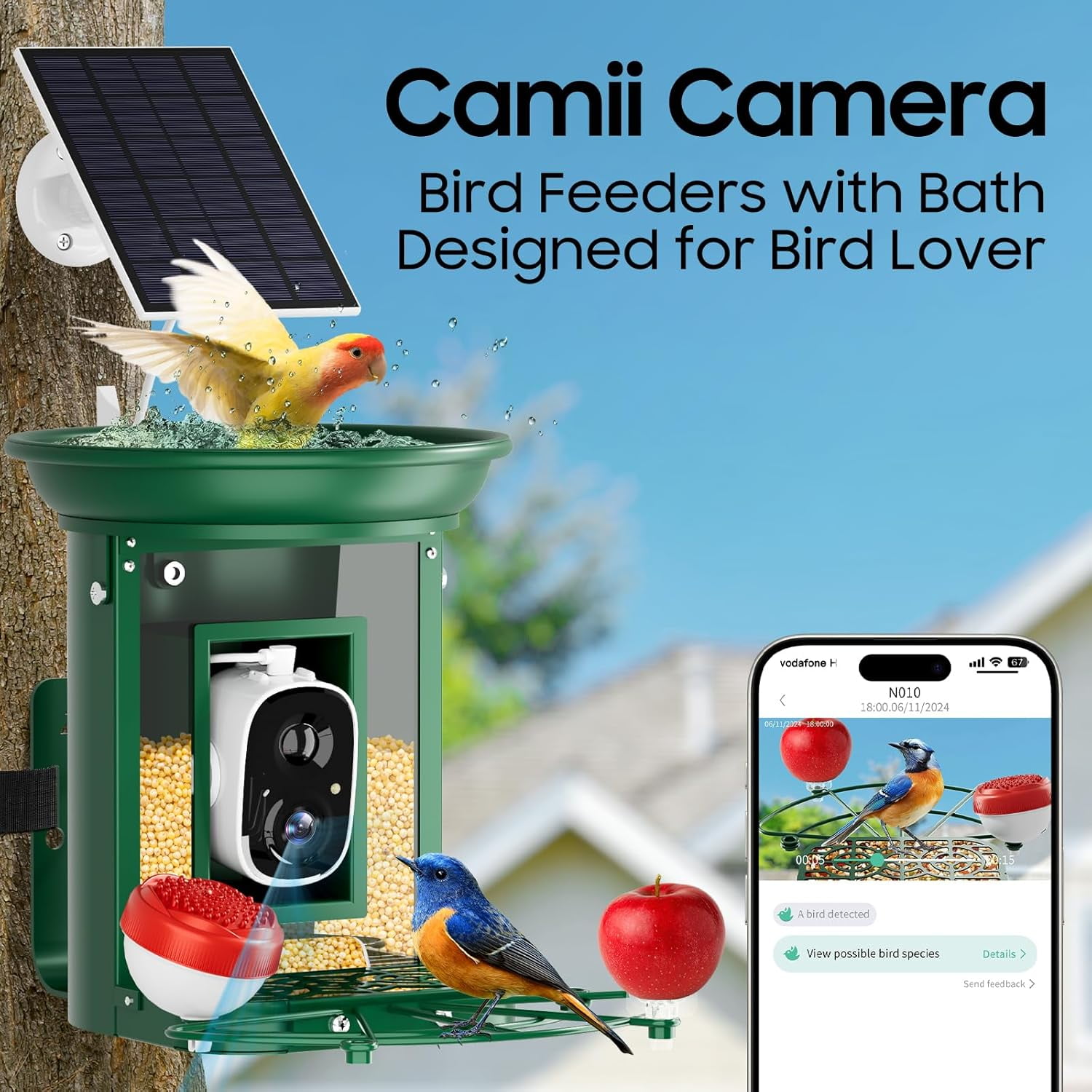 Smart Bird Feeder with Camera & Bird Bath - 2K HD, Solar-Powered ...