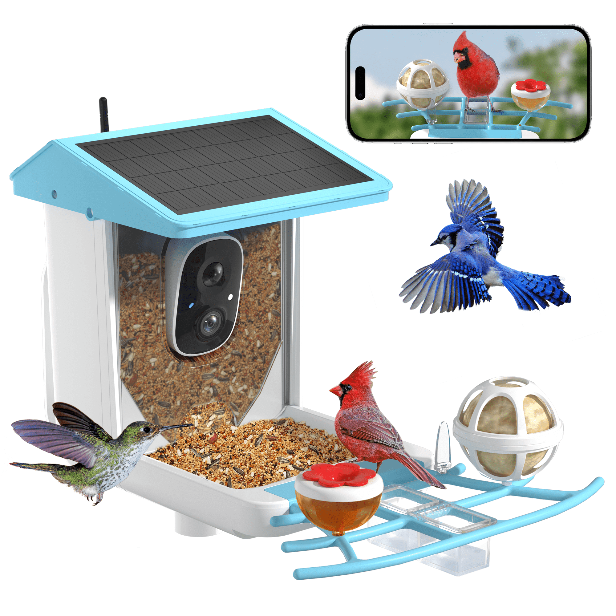 Smart Bird Feeder with Camera, Hummingbird Feeders for Outdoors, 1296P ...