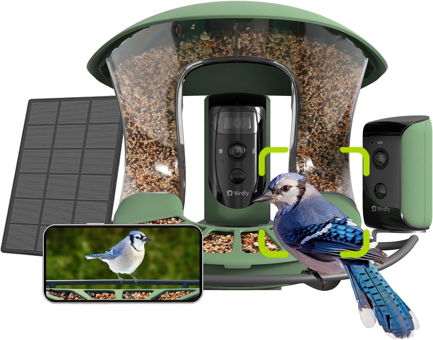 Birdfy Smart Bird Feeder with Camera, Solar-Powered, Dual Cameras Auto ...