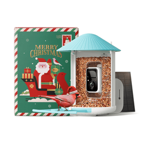 Birdfy Smart Bird Feeder with Camera, Bird Watching Camera with Solar ...