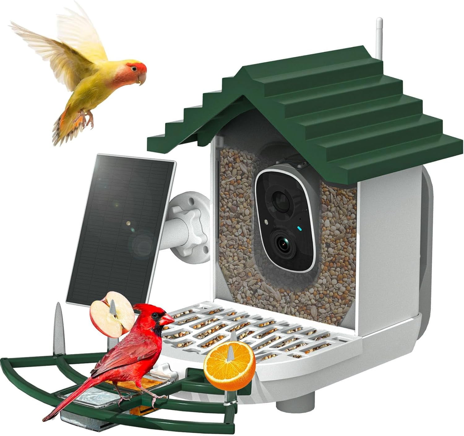Smart Bird Feeder with Camera Solar Powered & AI Bi rd Identification ...