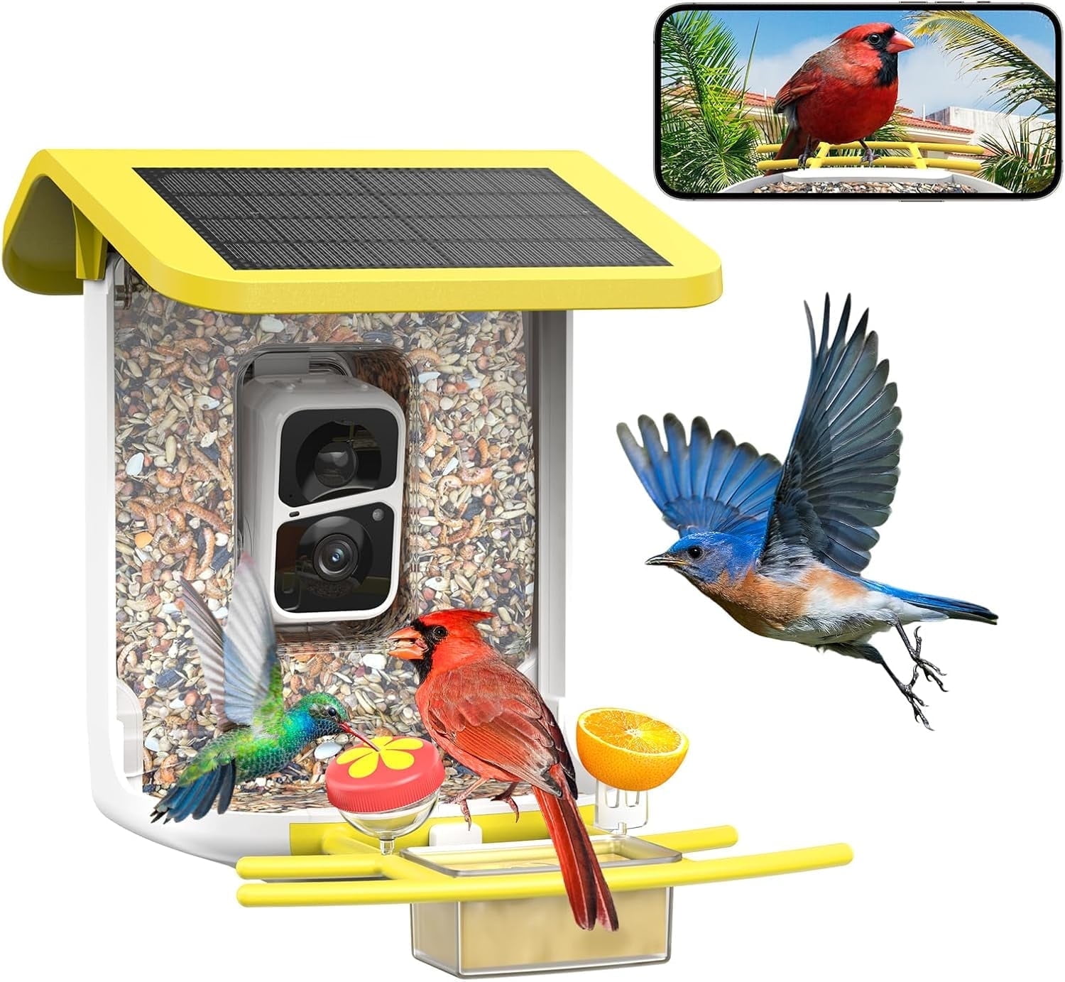 Smart Bird Feeder with Camera: Solar Powered Birdhouse with AI ...