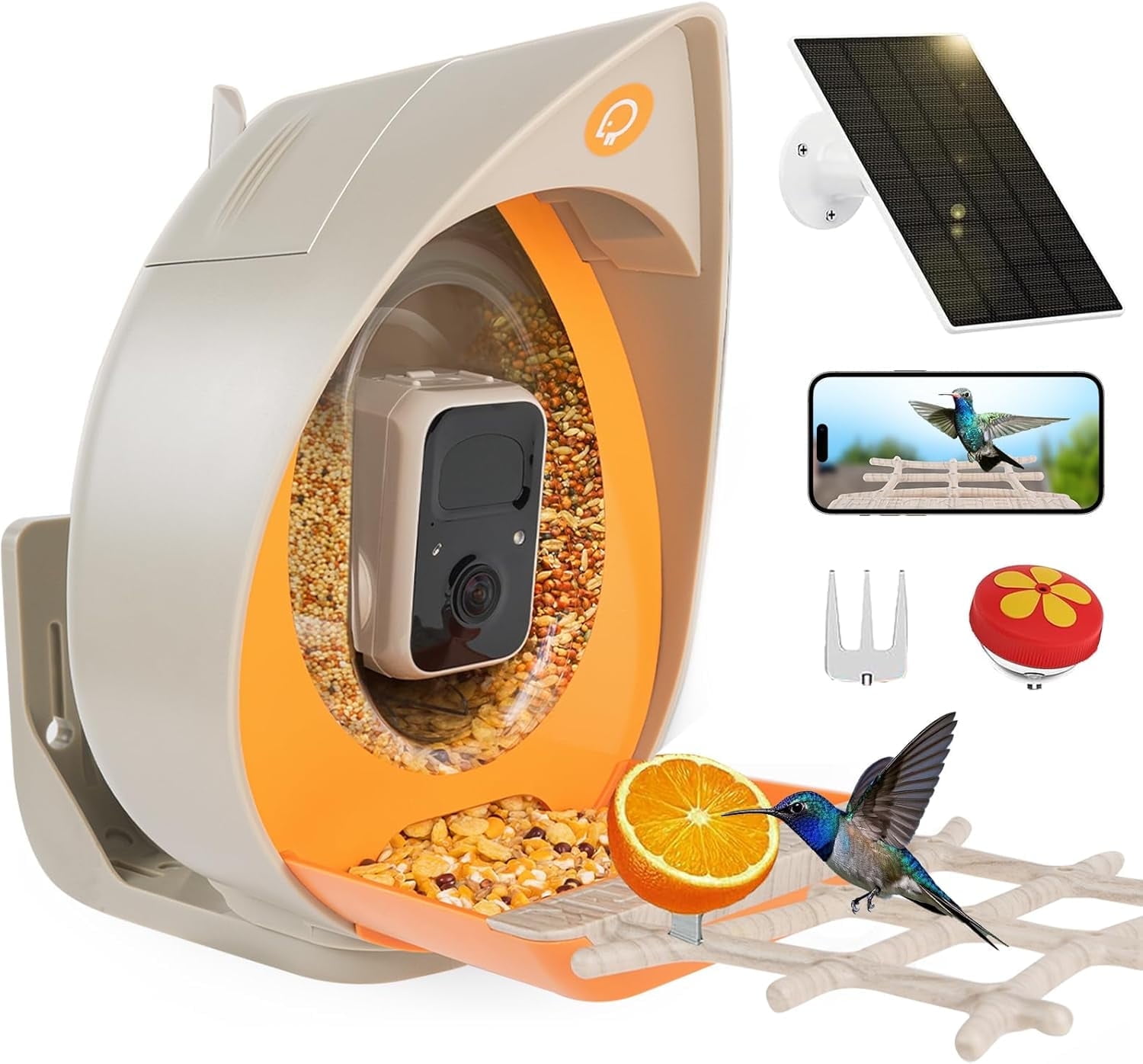 Smart Bird Feeder with Camera Solar Powered, Squirrel-Proof, 2K Full ...