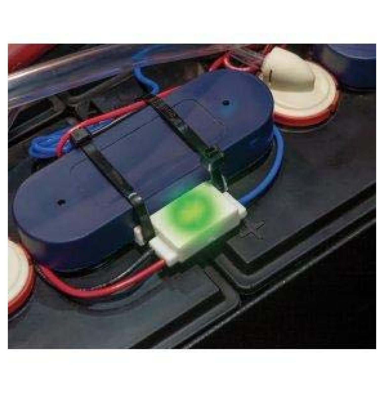 Smart Blinky Battery Watering Monitor - 2.35" (Standard) - Walmart.com