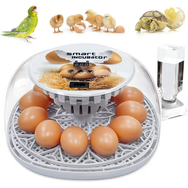 Smart Chicken Incubators for Hatching Eggs with Automatic Turner Small Poultry Duck Quail 12 Egg ...