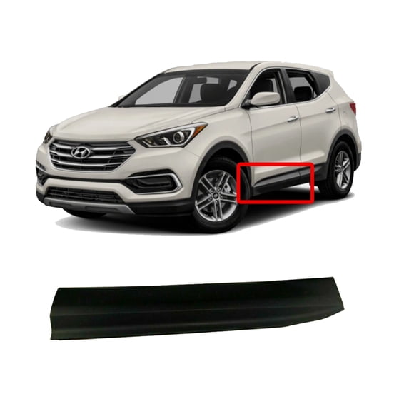 Smart Choice Store Genuine OEM 877212W000CA Front Door Side Molding ...