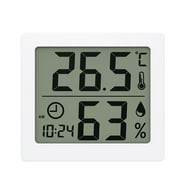 SnapSafe Digital Hygrometer, Black - Walmart.com