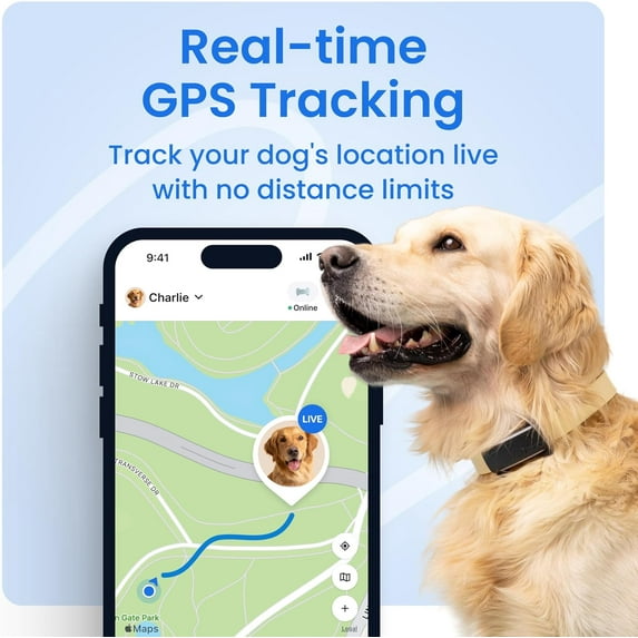 Smart Dog GPS Tracker | Live Pet Tracker with Virtual Fence | Vital ...