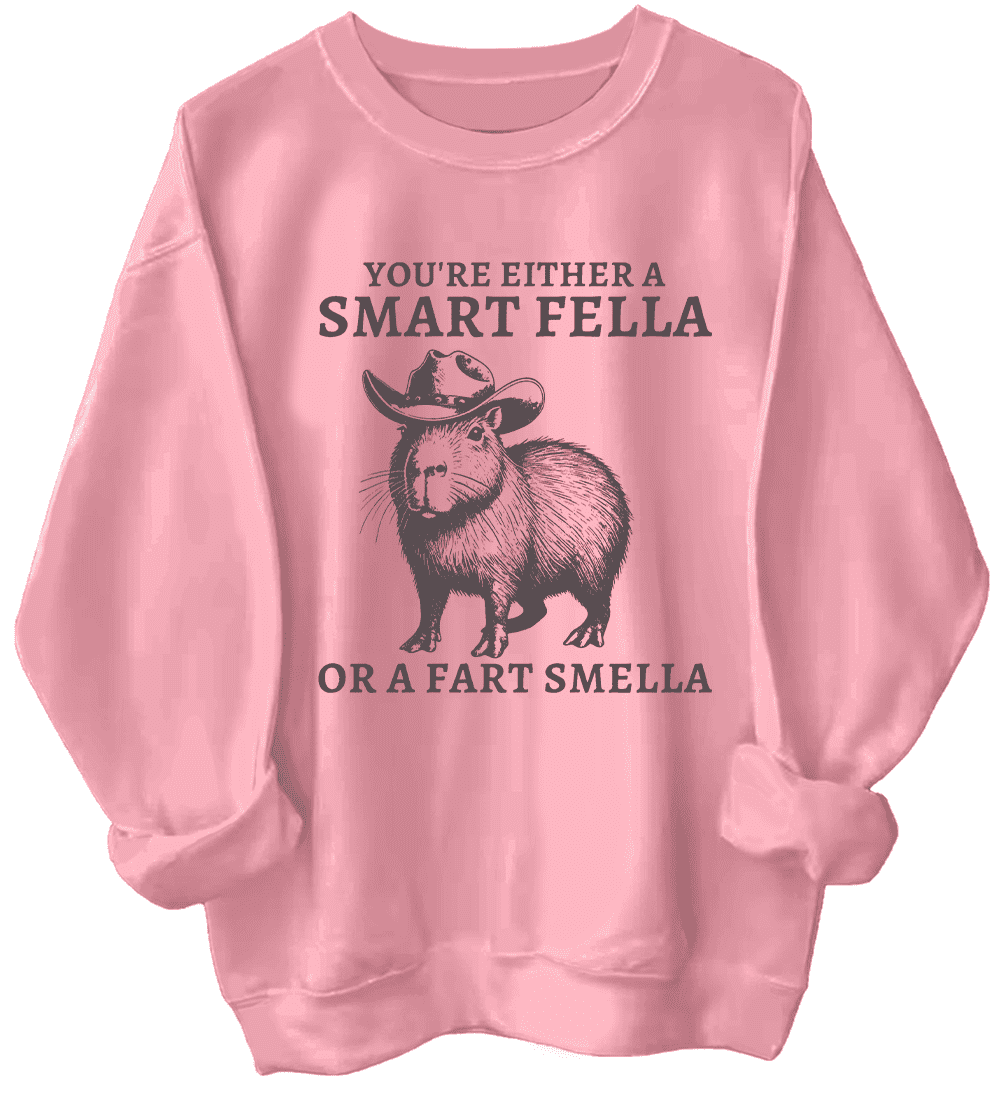 Smart Fella Or Fart Smell Sweatshit, You're Either A Smart Fella Or A ...