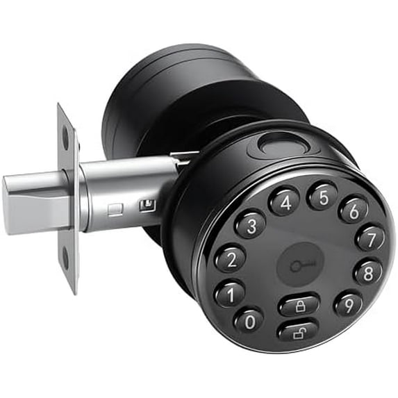 Smart Fingerprint Door Lock with Keypad, APP Control, Auto Unlock ...