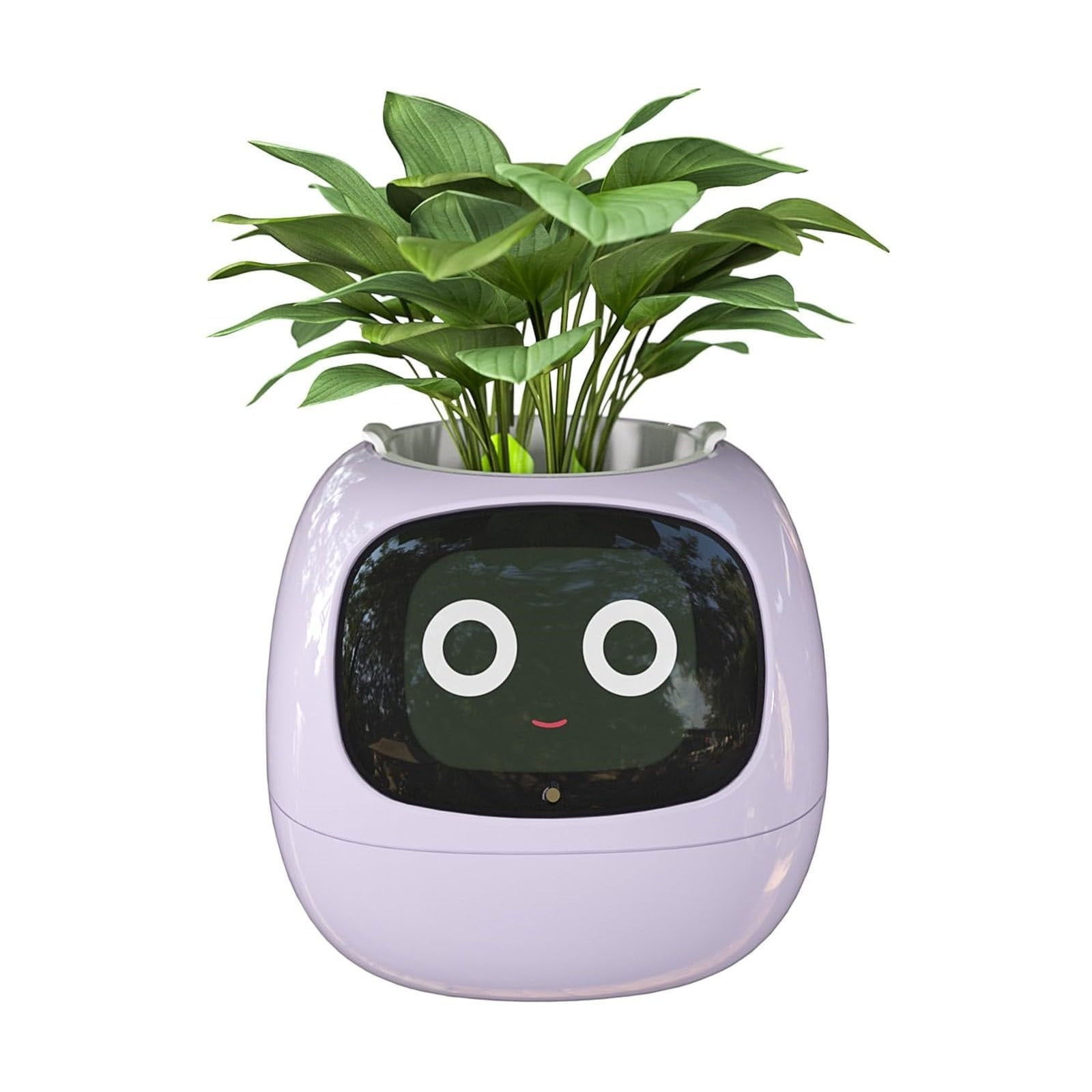 Smart Flowerpots Smart Pet Planter Ai Planter Intelligent Flowerpots ...
