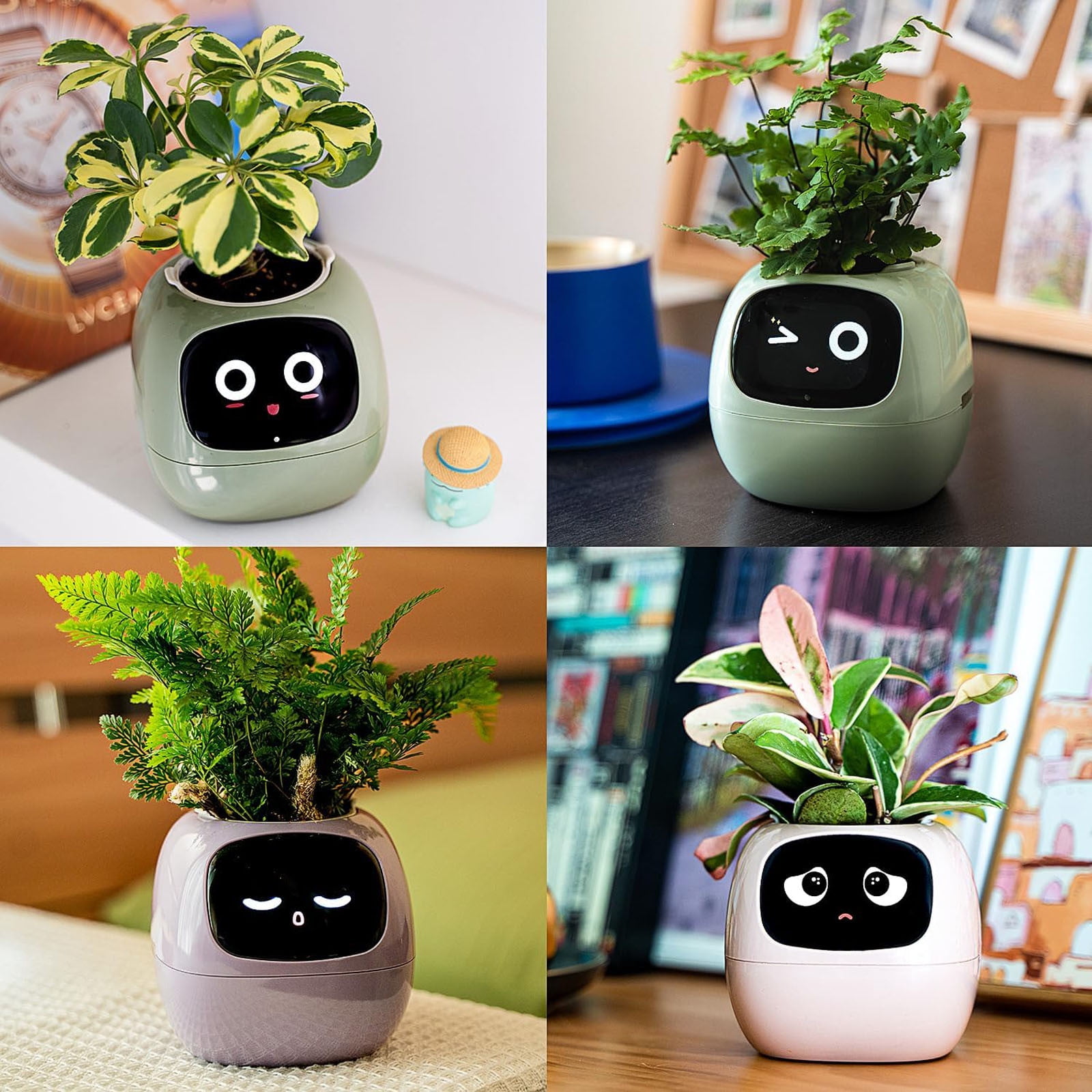 Smart Flowerpots Smart Pet Planter Ai Planter Intelligent Flowerpots ...
