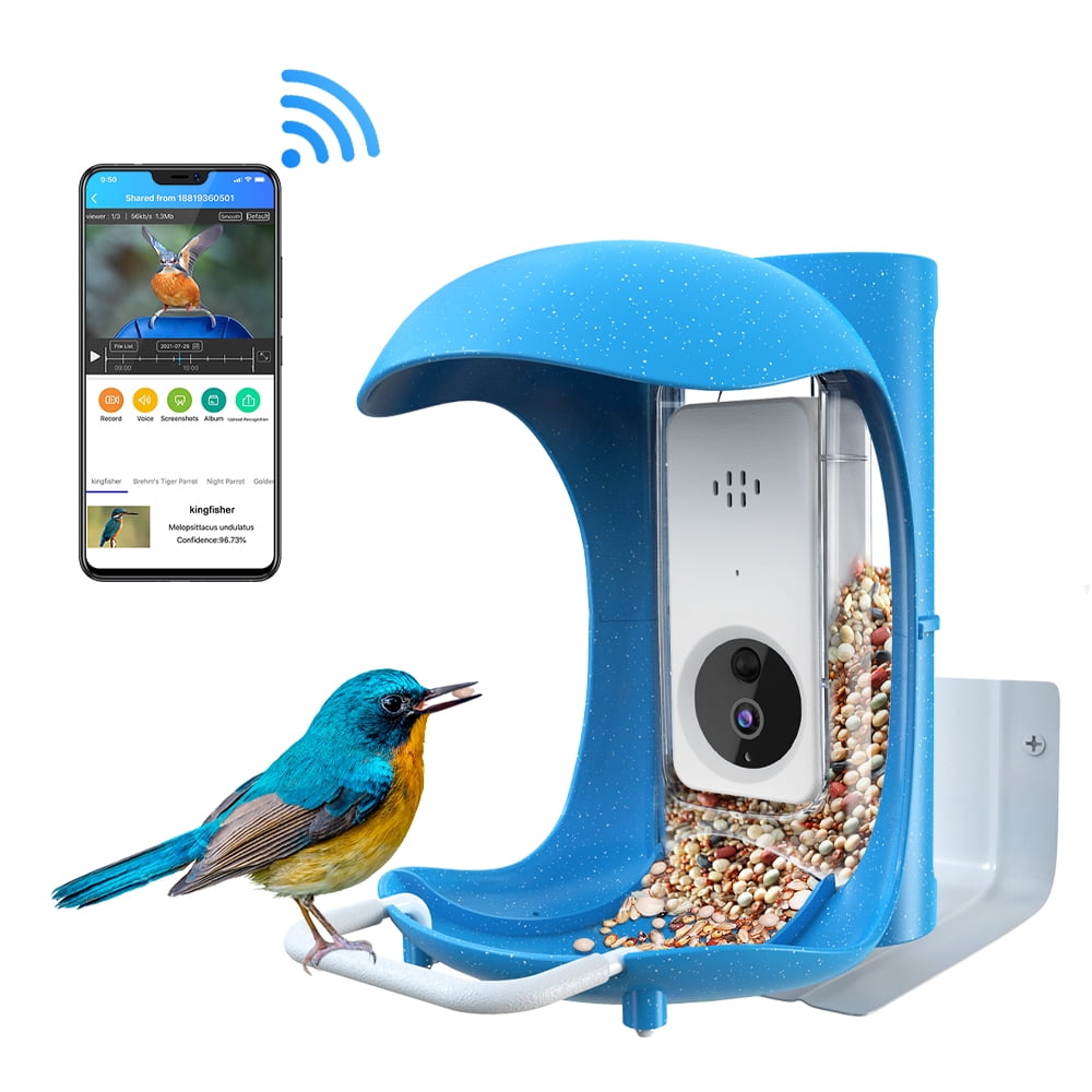 BirdDock Smart Hopper Bird Feeder with 1080 HD Night-Version Camera ...
