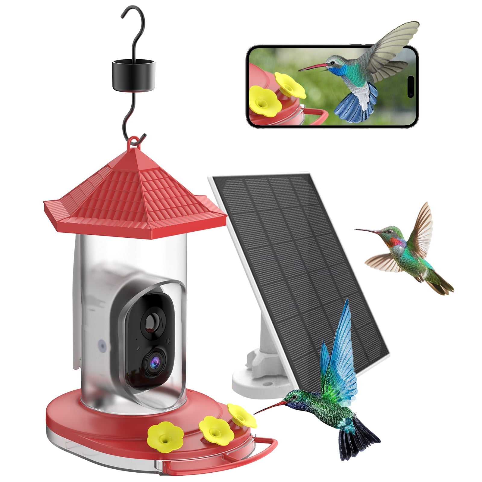 Smart Hummingbird Feeder with Camera for Outdoors Hanging Ant Moats and ...