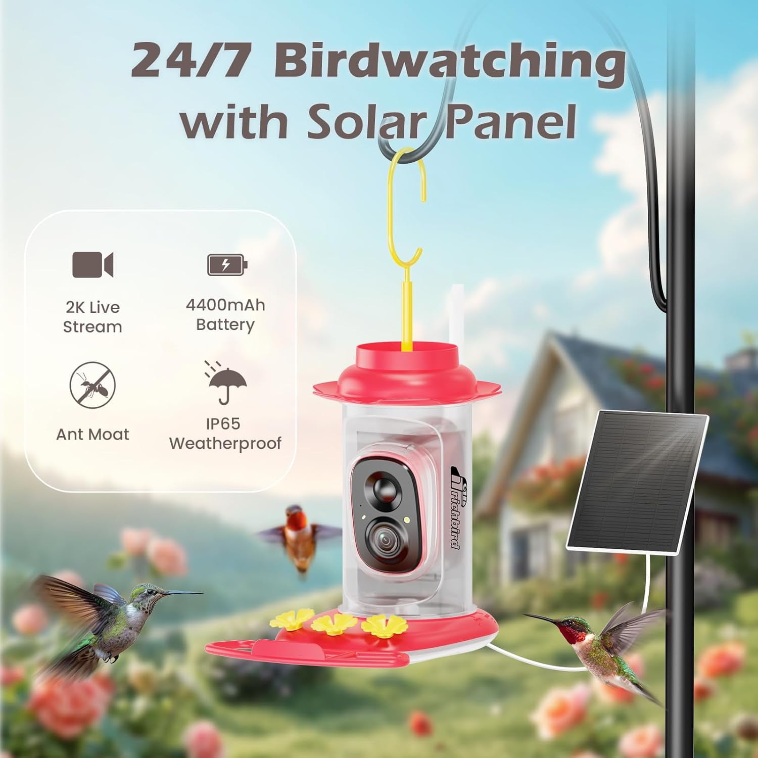 Smart Hummingbird Feeder with Camera Solar Powered, AI Identify ...