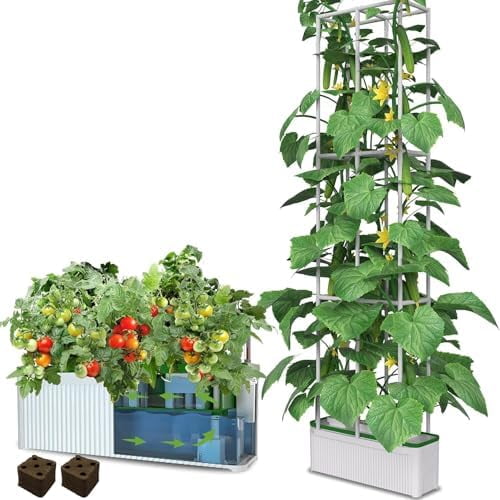 Smart Hydroponic Growing System Kit, Safe and Durable Indoor Gardening ...