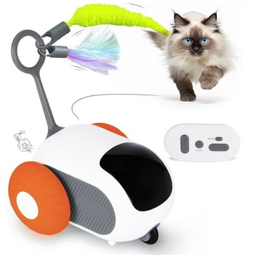 Migipaws Interactive Cat Toy: USB Rechargeable Smart Ball, Mice ...