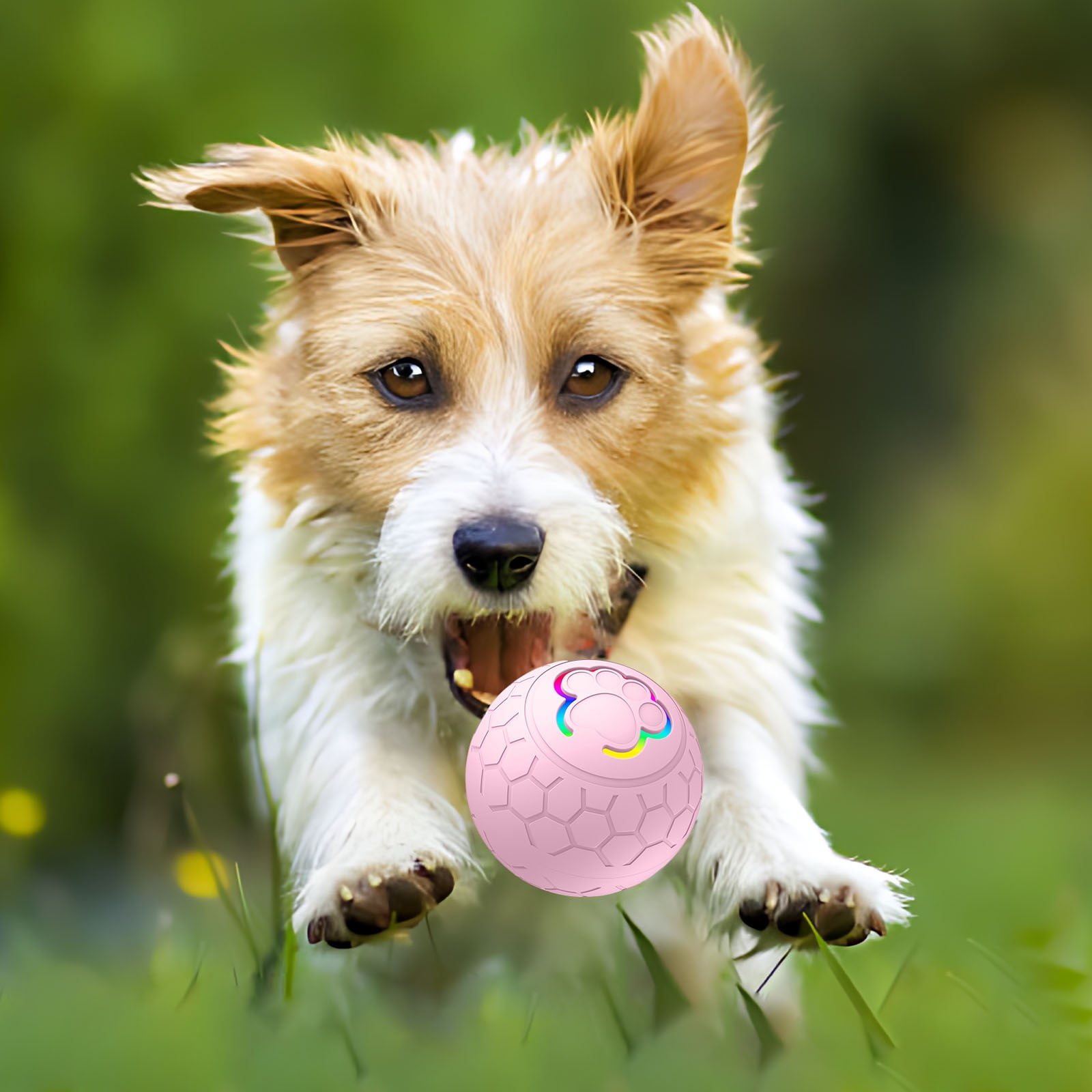 Smart Interactive Dog Toys Ball,Auto Bouncing Rotating Ball ...