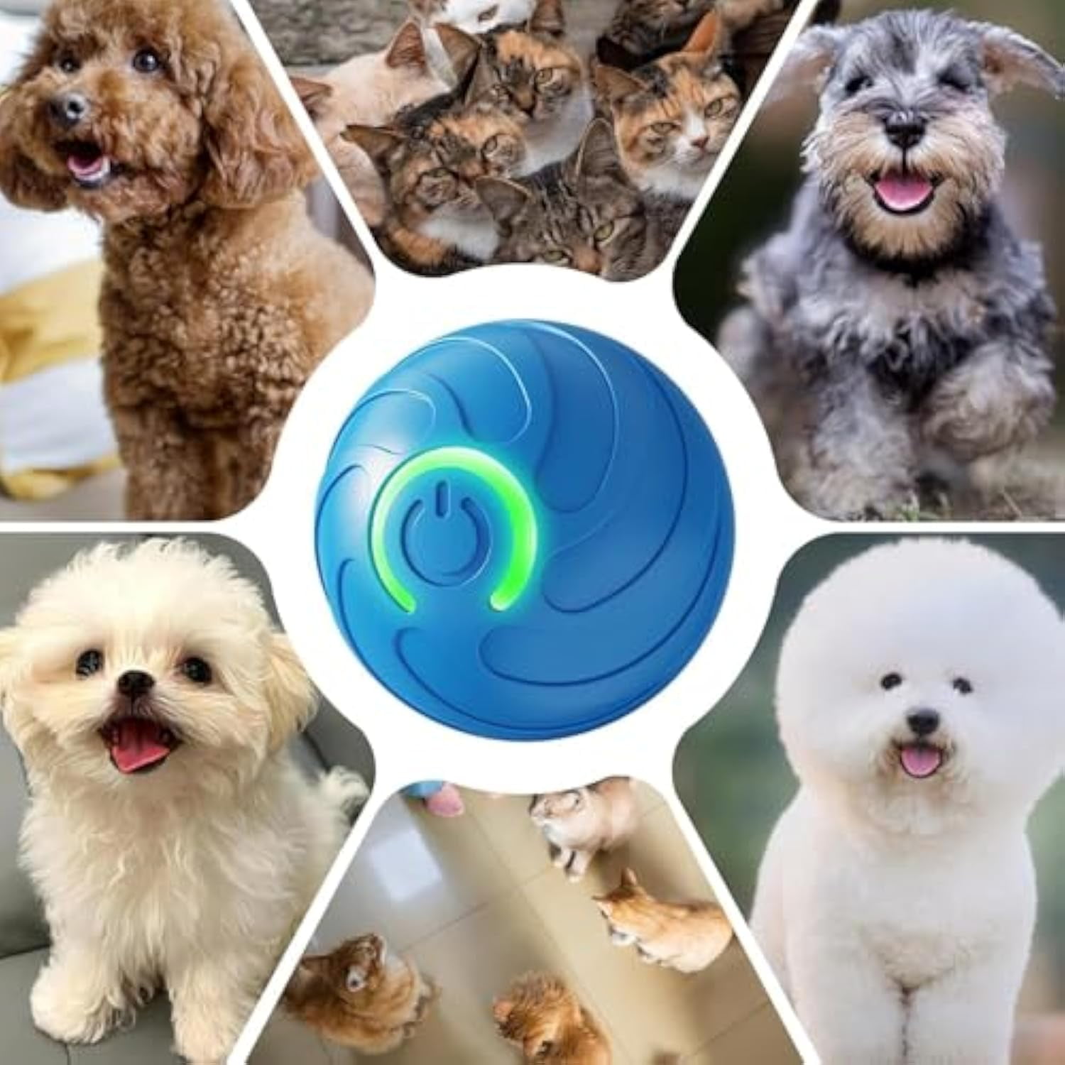 Smart Jumping Ball for Dogs, Vibrating Dog Ball, Bouncing Ball for Dogs ...