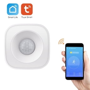 Smart Motion Sensors in Smart Detectors & Smart Sensors - Walmart.com