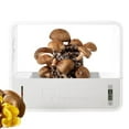 Smart Mushroom Growing Kit with Auto Light & Humidity Control ...