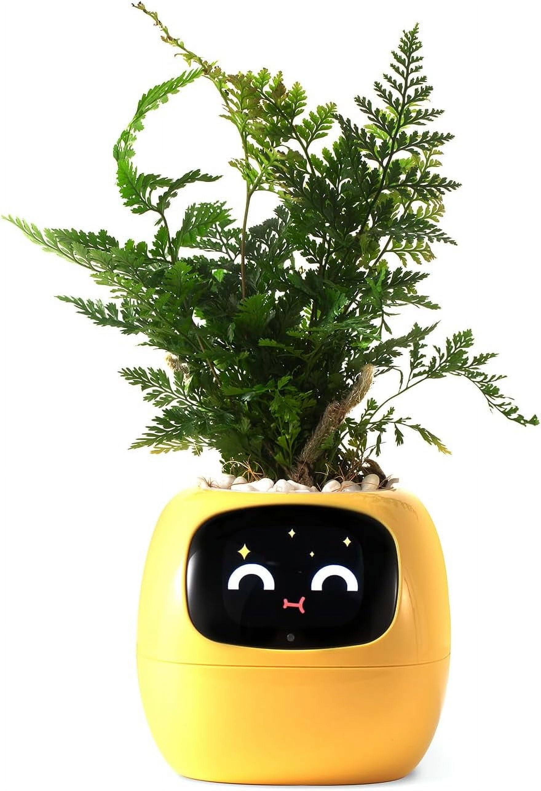 Smart Pet Planter Robot Guides Plant Care with Emojis, Cute Plant ...