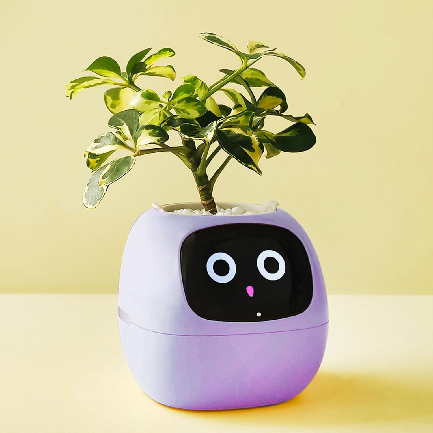 Smart Plant Pot with Expression, Intelligent Flower Pot, Smart Planter ...