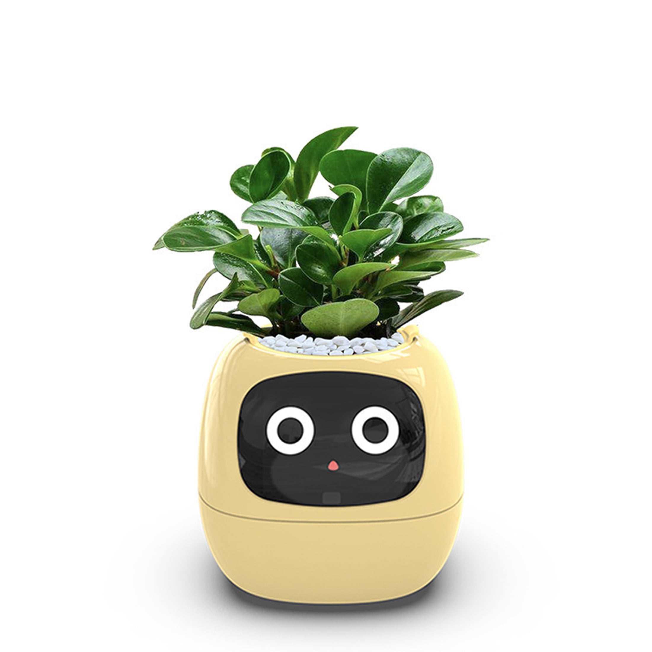 Smart Plant Pot with Expression,Smart Pot for Plants for Indoor ...