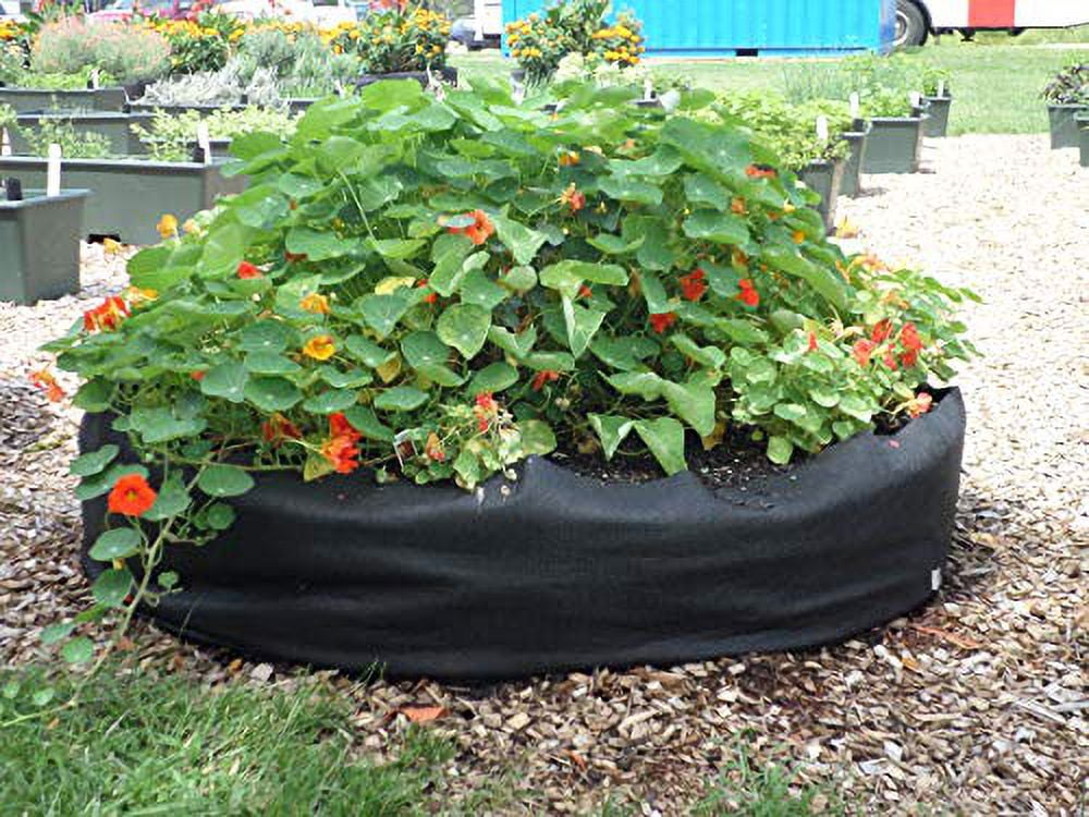 Smart Pots 12050 Big Bag Bed Fabric Raised Planting Bed, Junior , Black ...