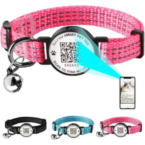 Pet ID Tags in Dog Collars, Leashes, and Harnesses - Walmart.com