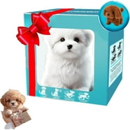 Betterlife Bunny Realistic Bunny Toy, Robot Bunny Pet Realistic,Bundy ...