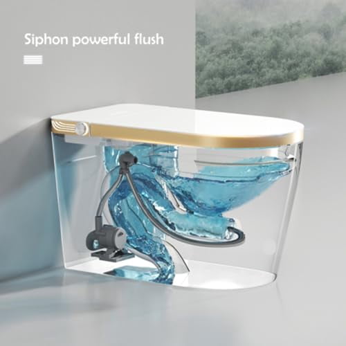 Smart Tankless Toilet With Automatic Open/CloseRemote Control Modern ...