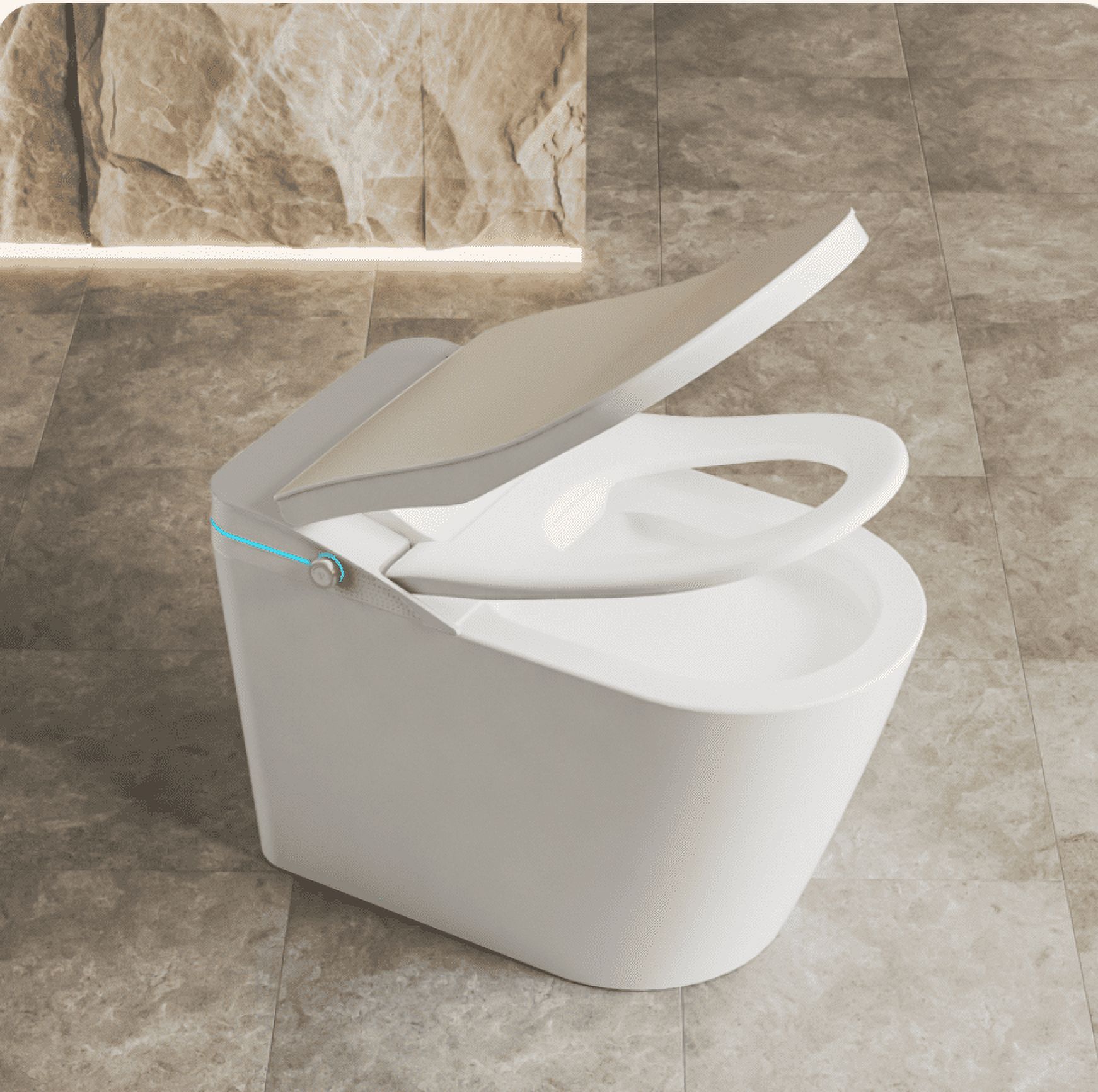 Smart Tankless Toilet with Heated Seat Auto Flush Adjustable Temp LED ...