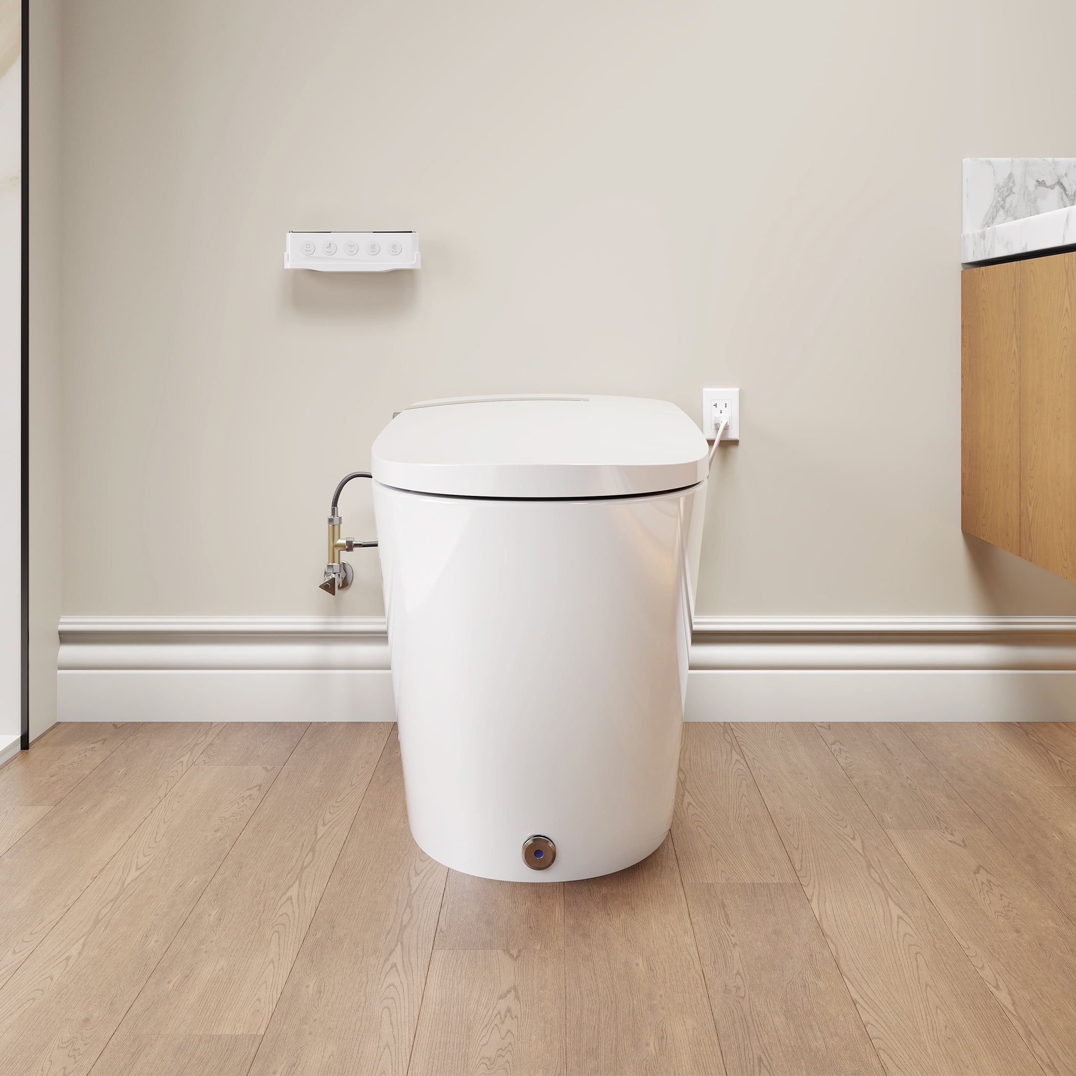 Smart Toilet With Bidet Built in, One Piece Elongated Bidet Toilet ...