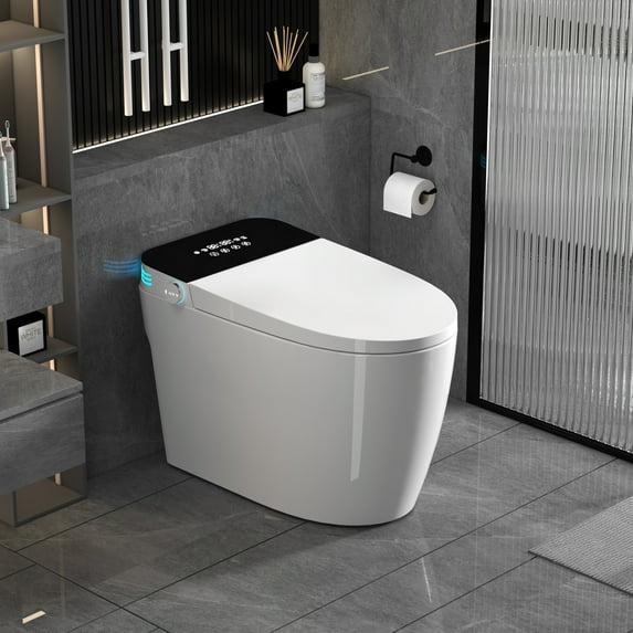 Smart Toilets with Heated Bidet Seat.Portable toilet with bidet built ...