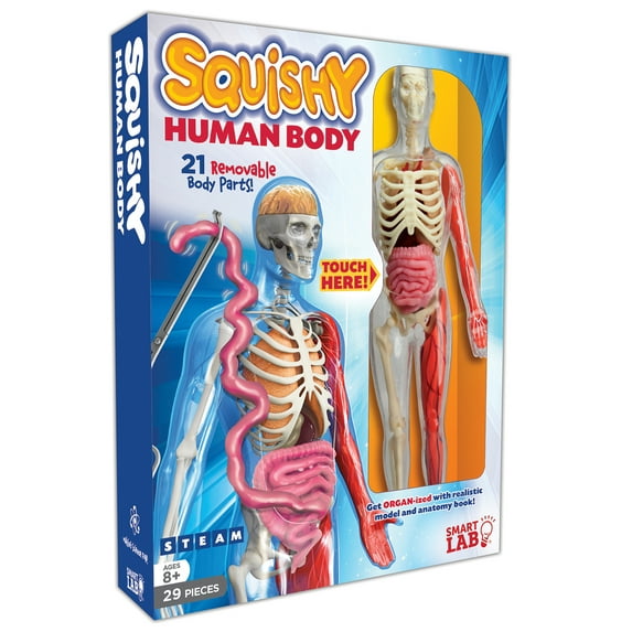 SmartLab QPG Lab for Kids, Squishy Human Body, Grade 3-8 - Walmart.com