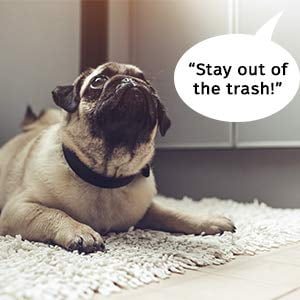 SmartSound Motion Activated Sound Player, Recordable – Independent ...