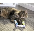 SmartyKat® Fish Flop™ Set of 3 Crinkle Catnip Toys - Walmart.com