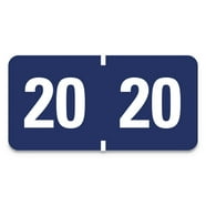 500Pcs 2025 Year Stickers, Self Adhesive File Folder Year Labels, Color ...