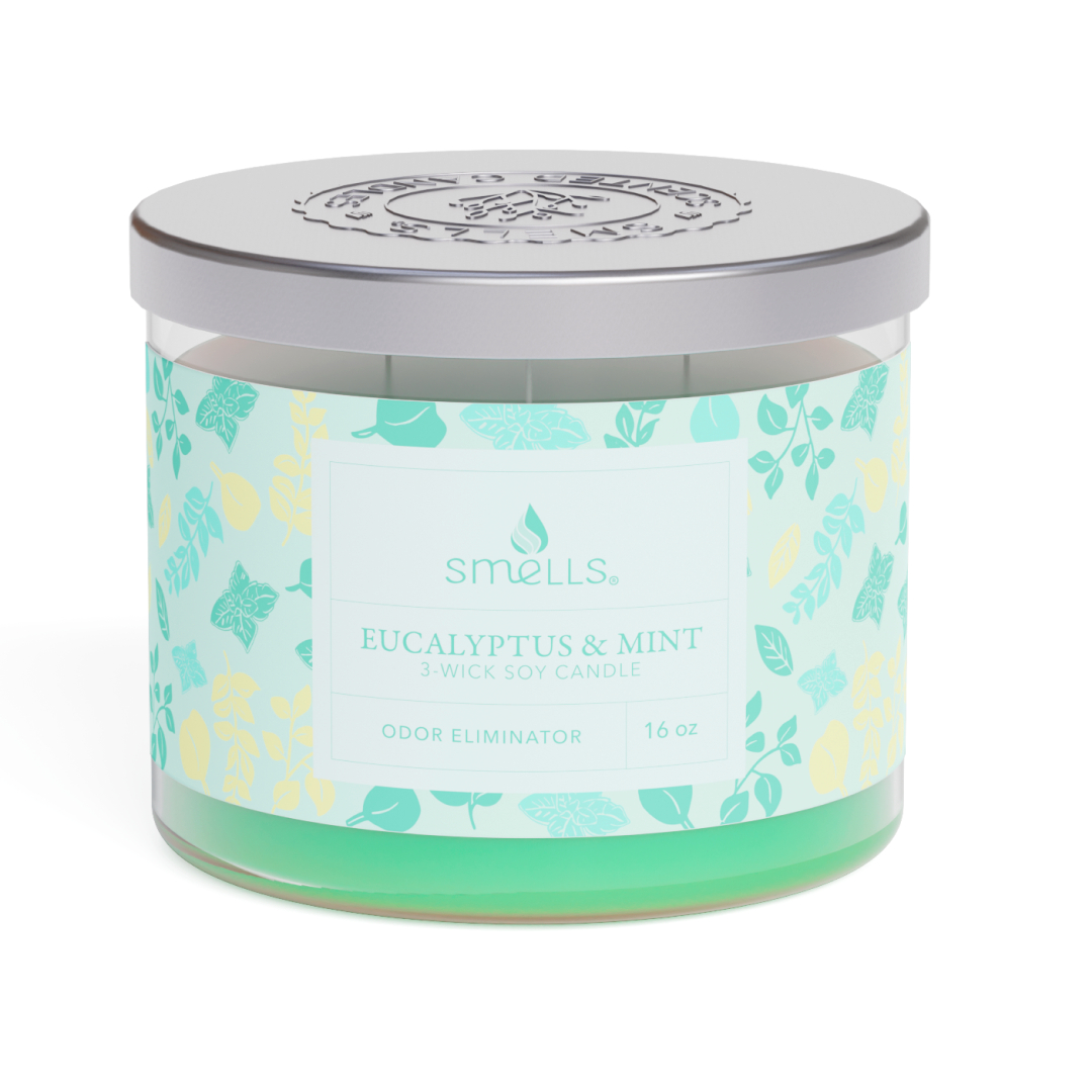 Smells Eucalyptus Mint 3 Wick Scented Candle - Walmart.com