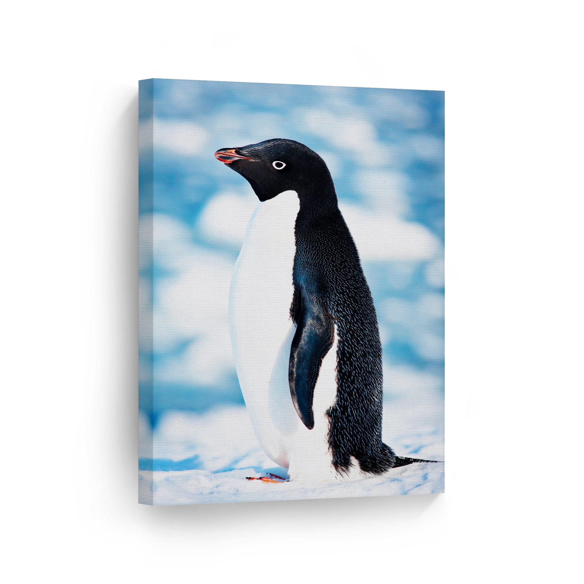 Smile Art Design Portrait of Cute Penguin on Ice Animal Canvas Wall Art ...