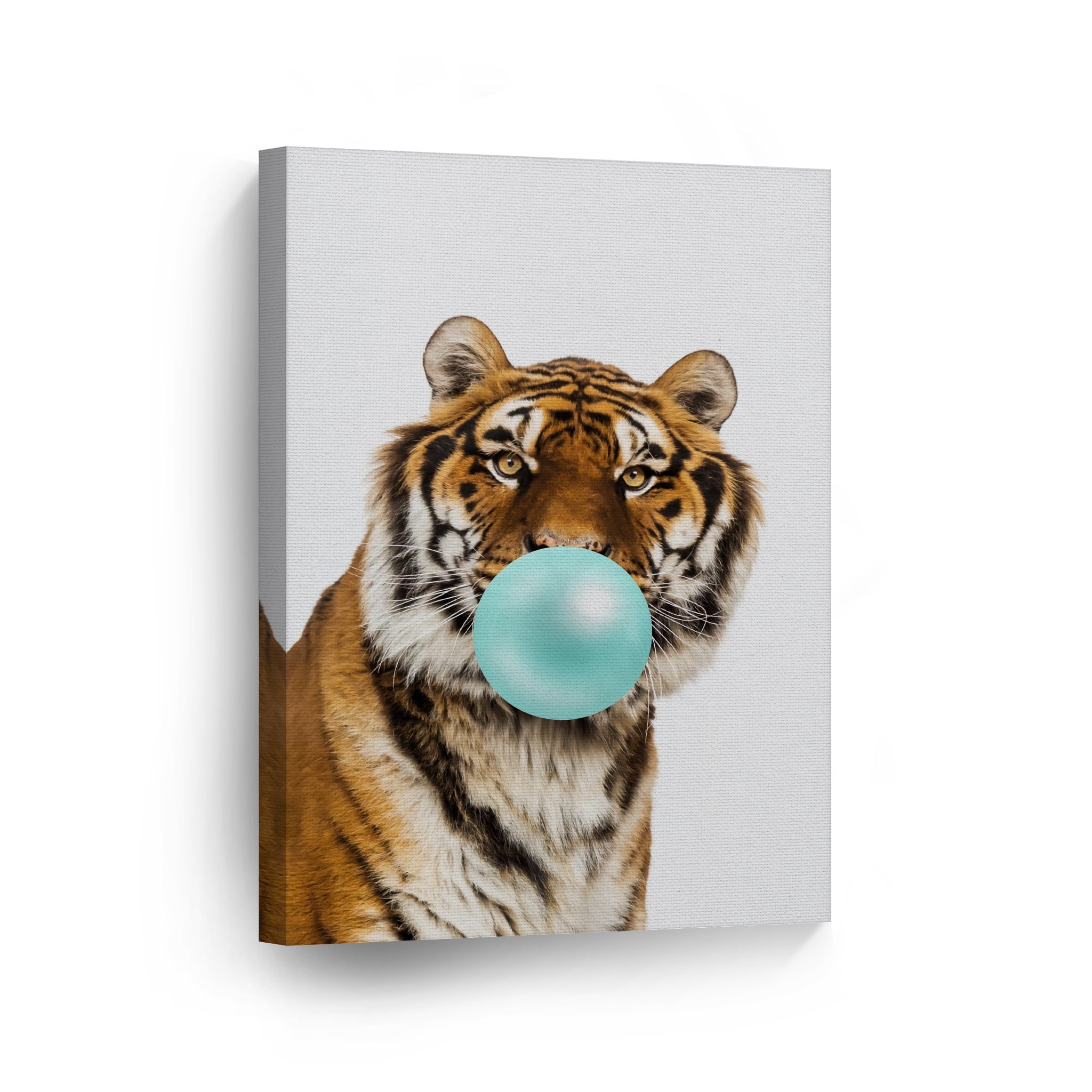 Smile Art Design Portrait of Tiger Chewing Teal Blue Bubble Gum Canvas ...