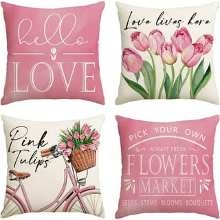 Throw Pillows Walmart